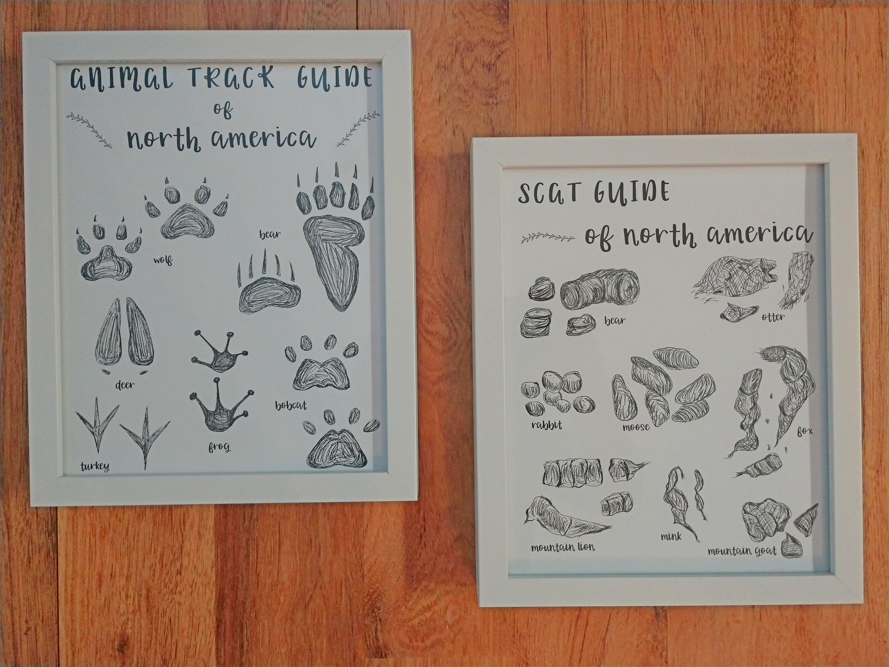 Animal Track and Scat Poop Guide, 2 Prints, Wilderness Wildlife Hunting ...