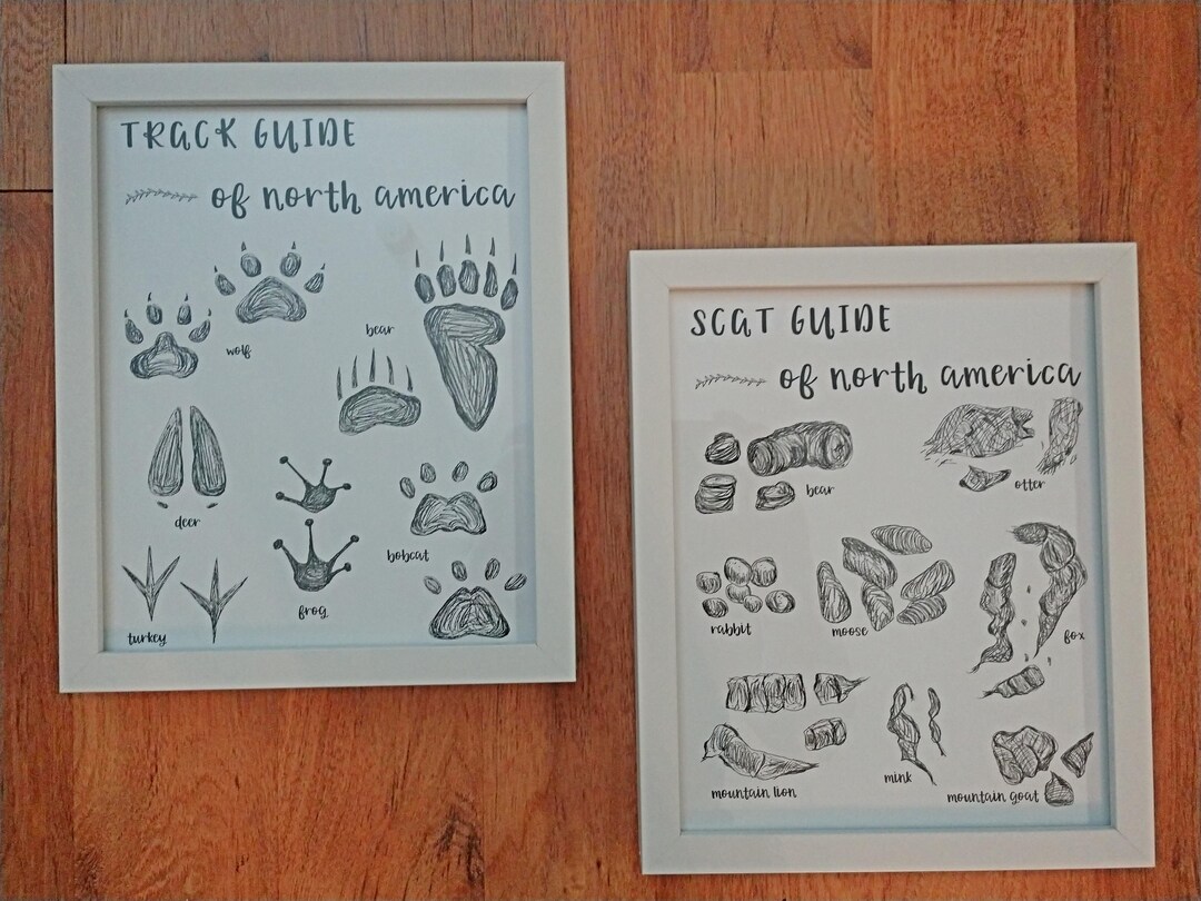 Animal Track and Scat Poop Guide 2 Prints Wilderness - Etsy