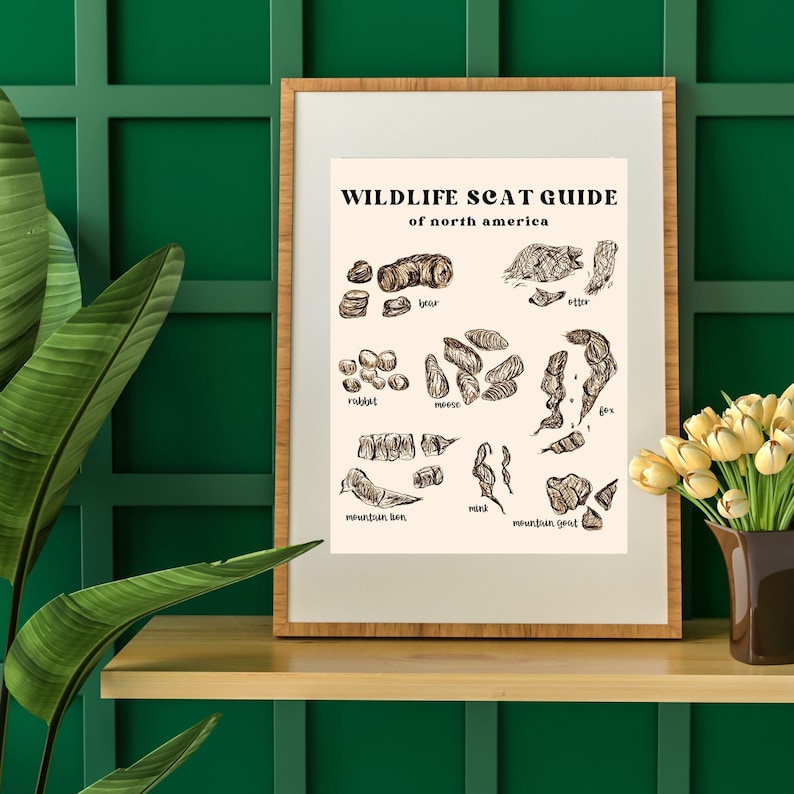 PRINTABLE Natural Animal Scat Poop Print - Wilderness Woodland Wildlife ...