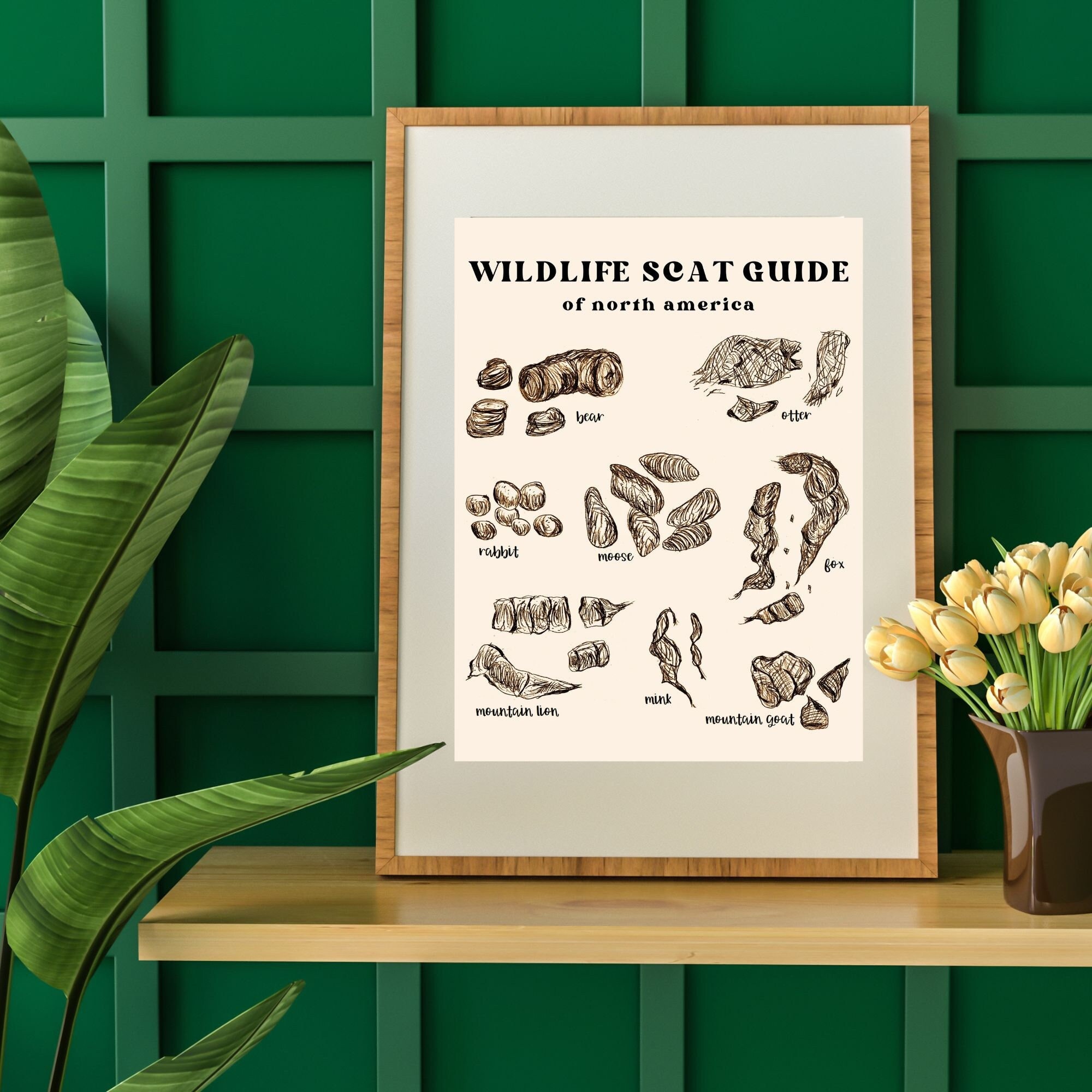 PRINTABLE Natural Animal Scat Poop Print - Wilderness Woodland Wildlife ...