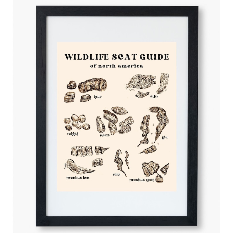 PRINTABLE Natural Animal Scat Poop Print - Wilderness Woodland Wildlife ...