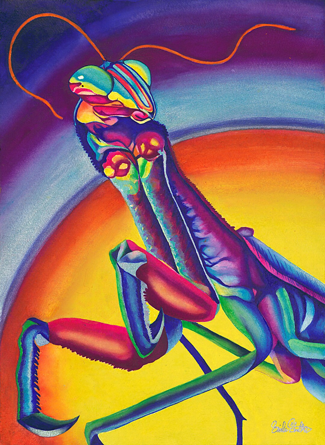 Praying Mantis Art "emmy's Mantis" - Signed Giclee Reproduction Print ...