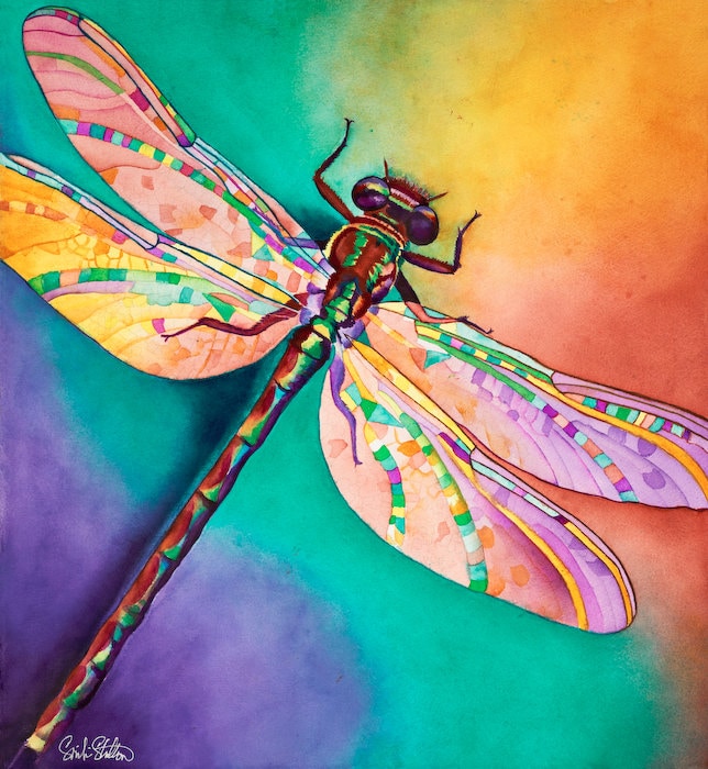 Dragonfly Art "illusions" - Signed Giclee Reproduction Print Watercolor Painting Wildlife ...