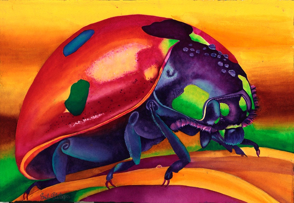 Ladybug Art - Signed Giclee Reproduction Print Watercolor Painting ...