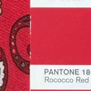 Luxurious and Rich Deep Red With Teal Blue Border Print, Paisley ...