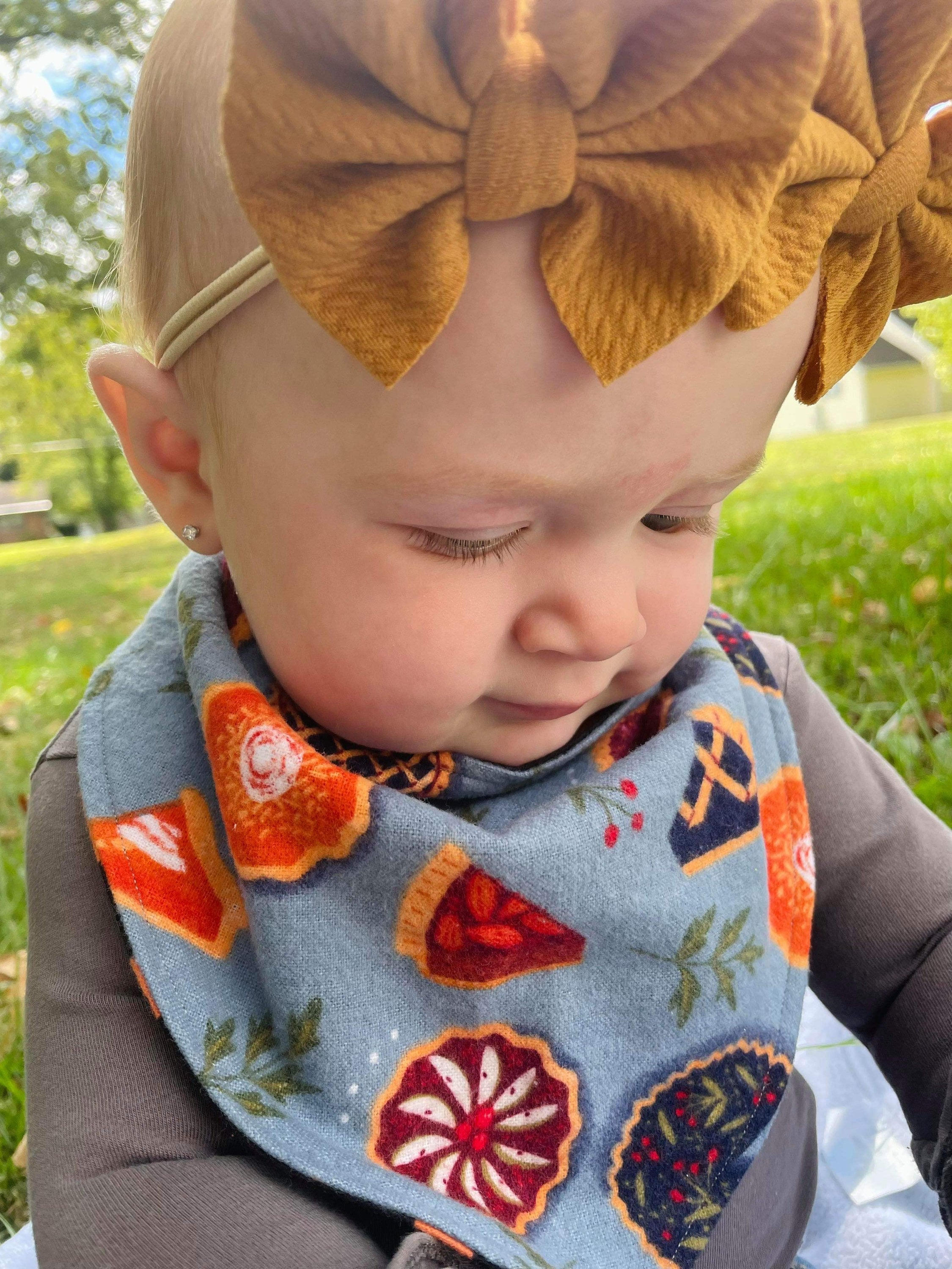 Thanksgiving Bib Pumpkin Pie Reversible Drool Bib Fall Baby - Etsy UK