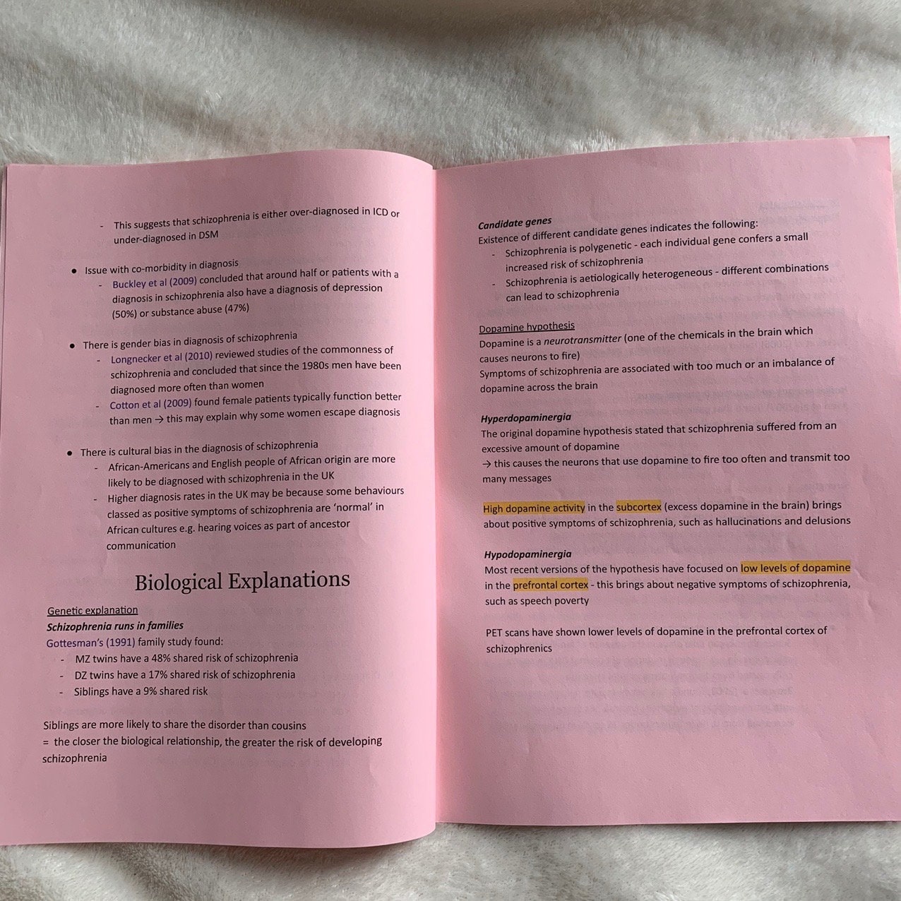 Paper 3 Psychology A-level AQA Digital Notes - Instant Download - Etsy UK