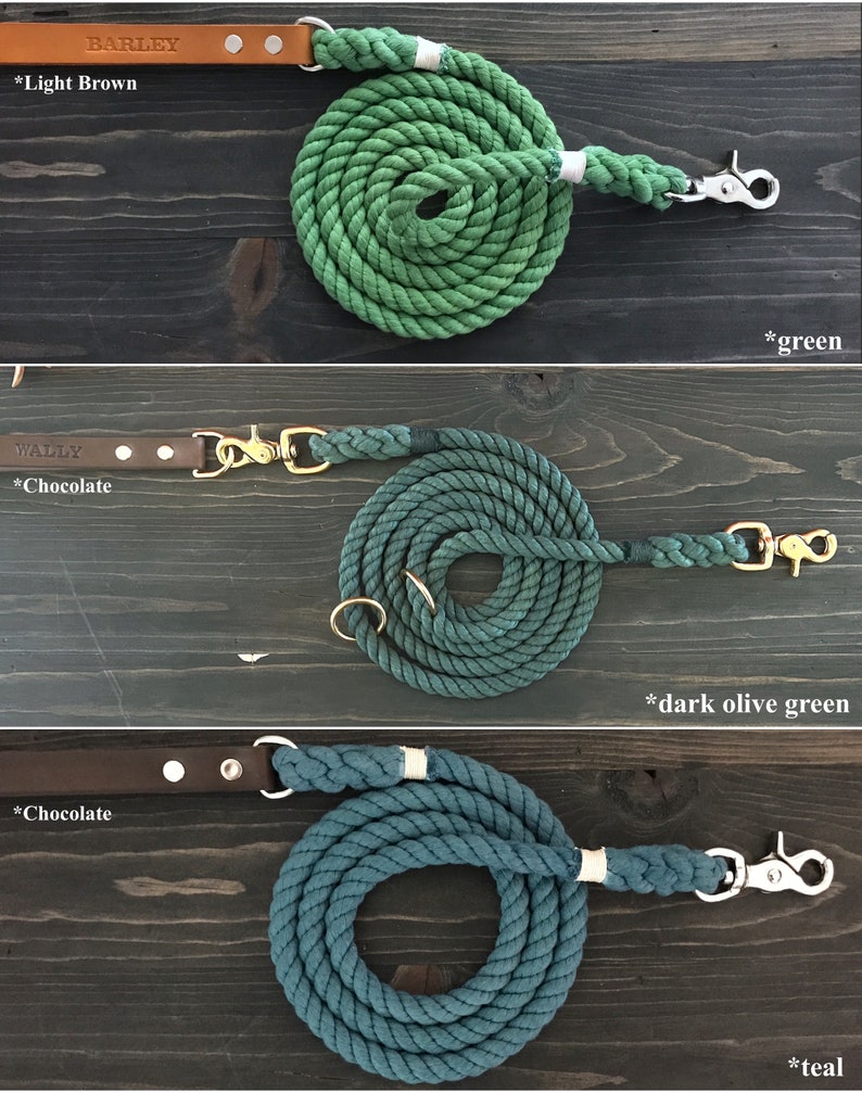 Single Color Dog Leash and Dog Collar Ombre Dog Leash - Etsy