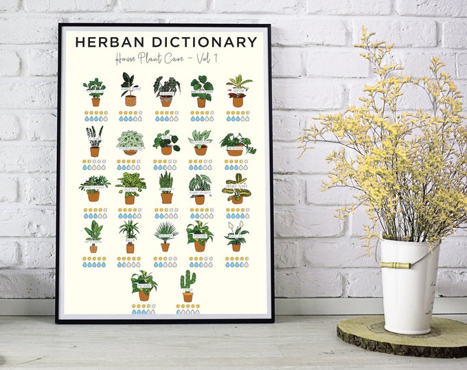 Houseplant Guide, Plant Care Guide, Beginner Plant Chart, Plant Care ...