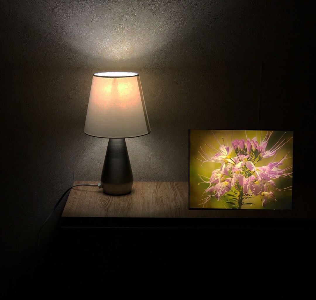 Purple Flower Night Light Shadow Box - Etsy