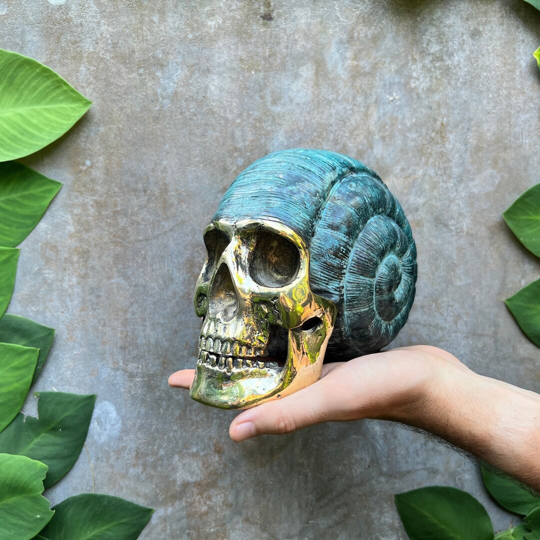 Bronze Surreal Human Skull Shell Figure Brass Skull Statue Figurine ...