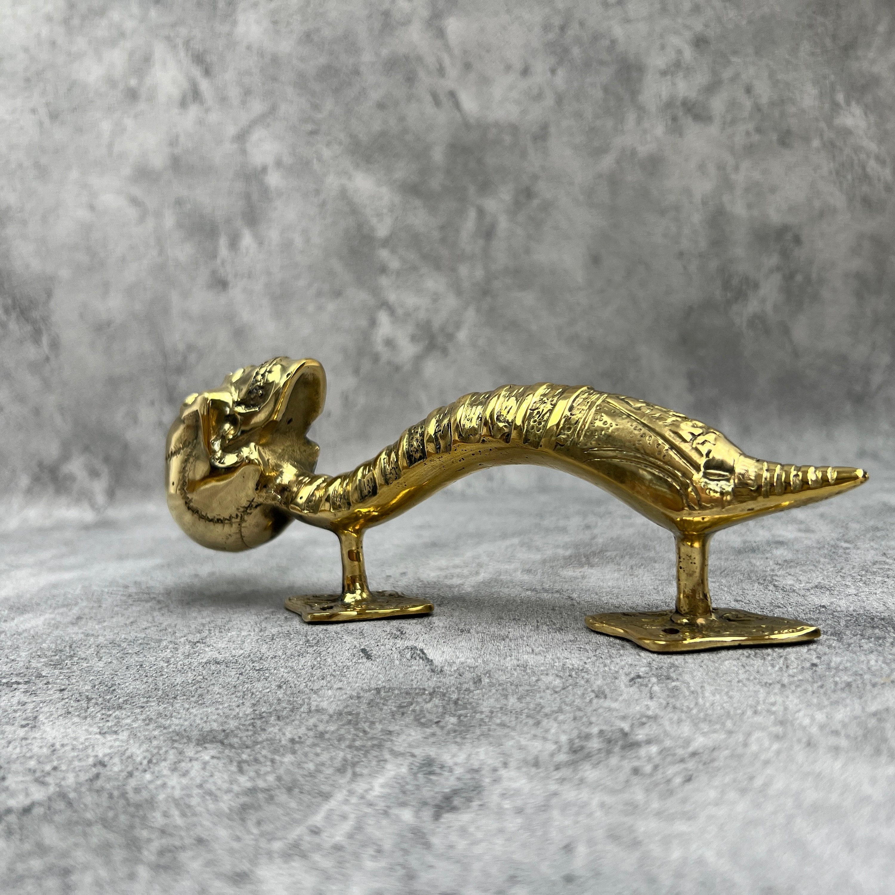 Bronze Skull Door Handle Brass Skull Door Knob Pull Hardware - Etsy