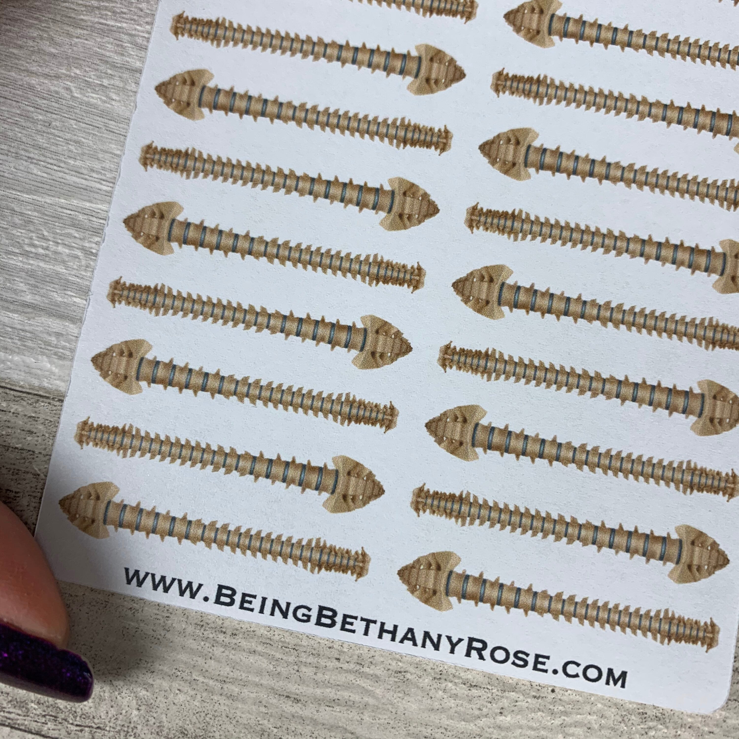 Anatomy Stickers skull Ribs Pelvis Spine Stickers for Erin - Etsy