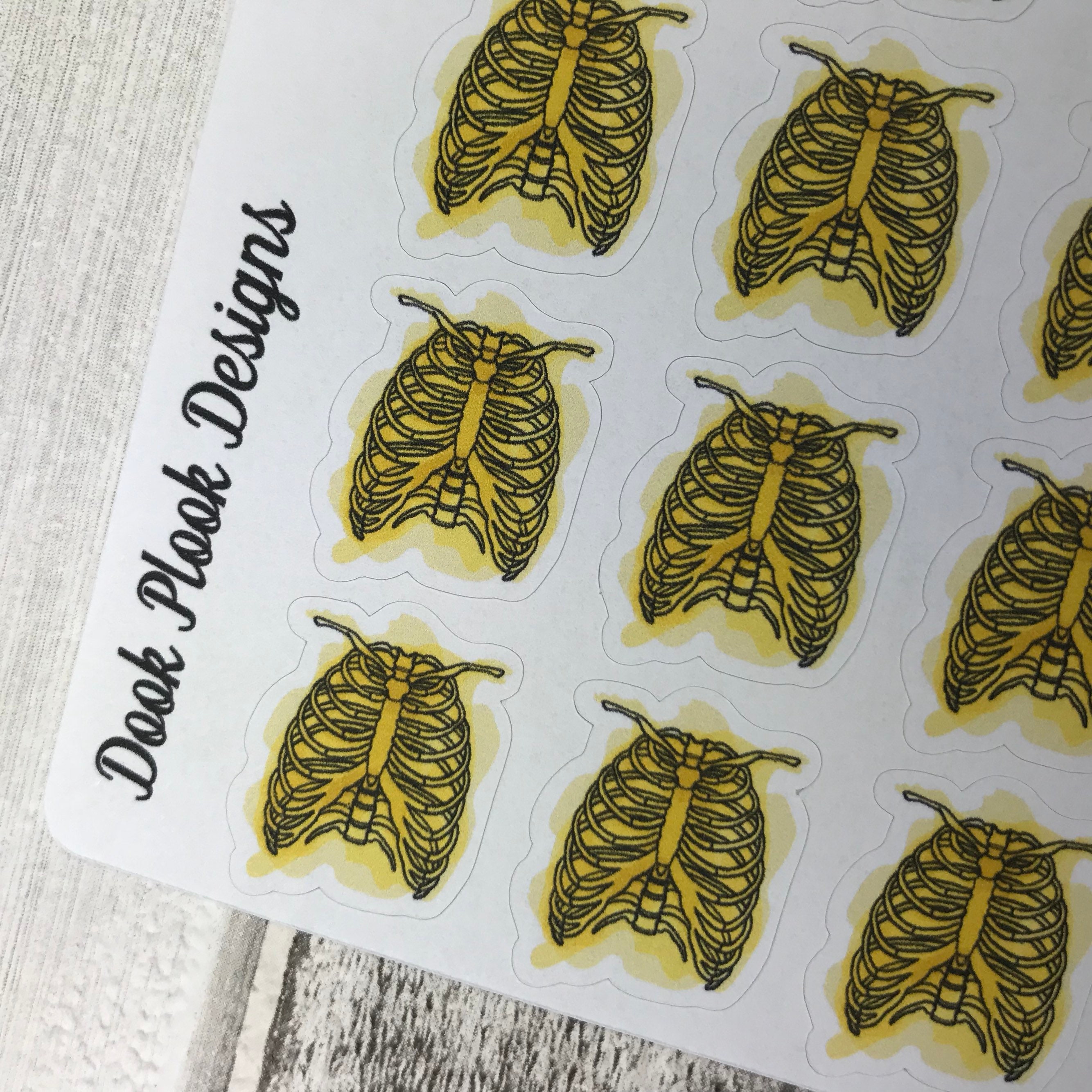 Anatomy stickers brain heart ribs stickers for Erin Condren | Etsy