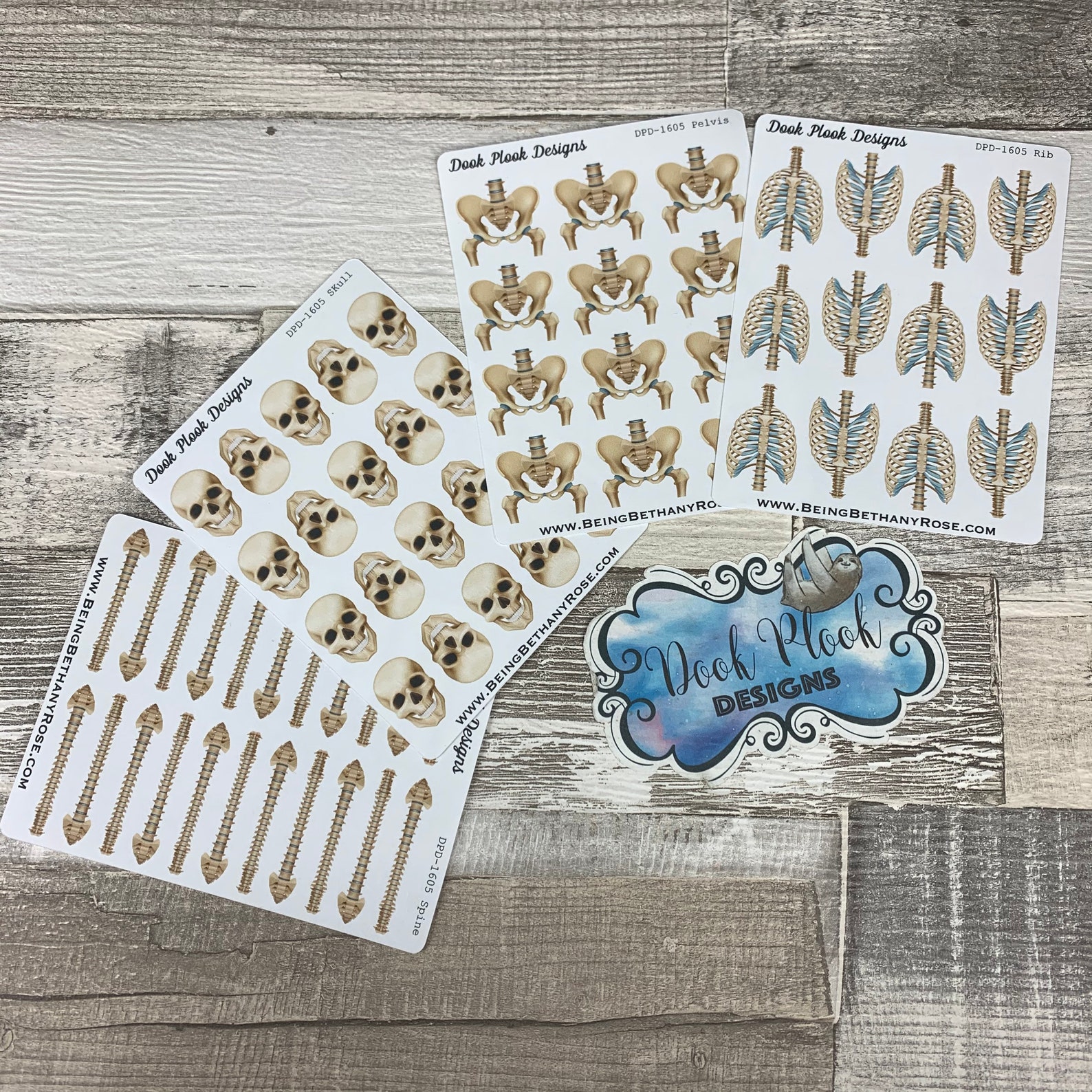 Anatomy Stickers skull Ribs Pelvis Spine Stickers for Erin - Etsy