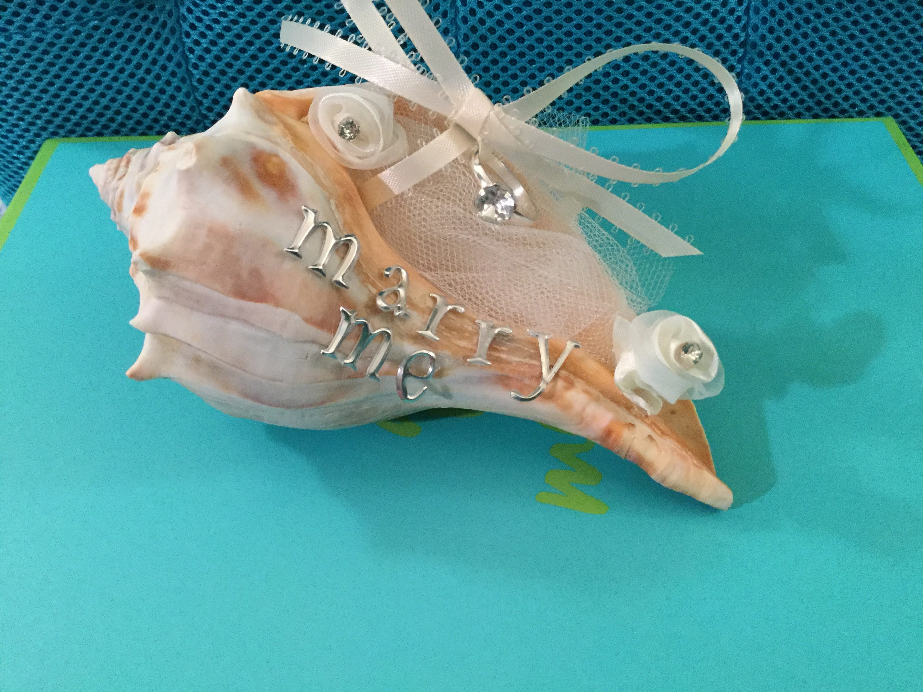 Beach Proposal. Marry Me. Proposal Shell. Engagement Ring Shell, Beach ...