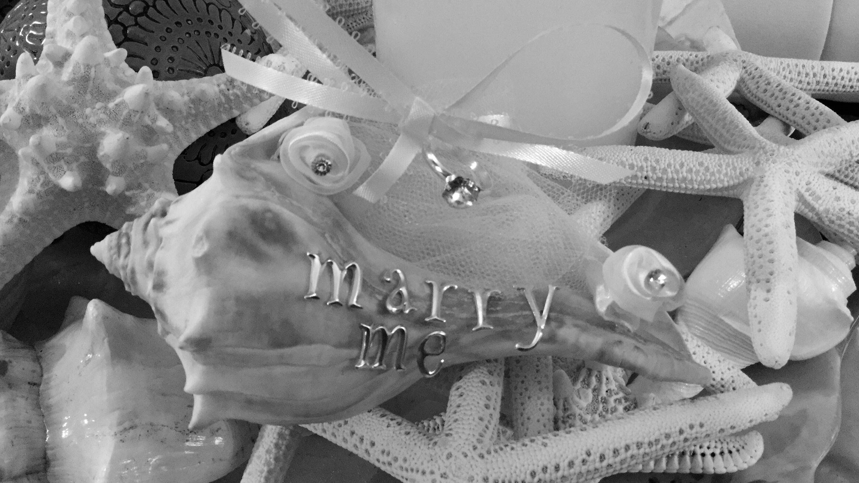 Beach Proposal. Marry Me. Proposal Shell. Engagement Ring Shell, Beach ...