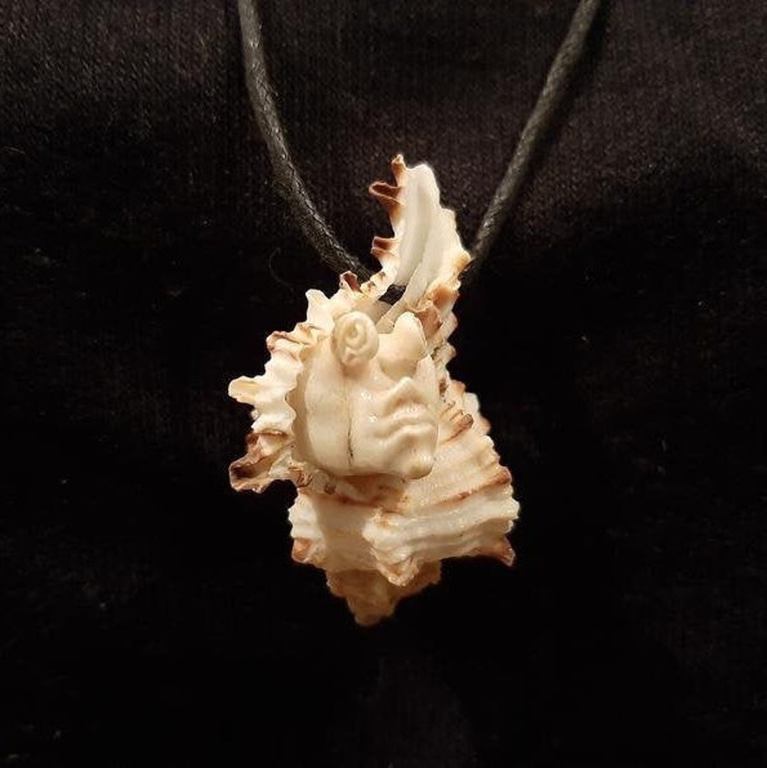 Snail Necklace Deer Antler Necklace Carved Antler Face - Etsy
