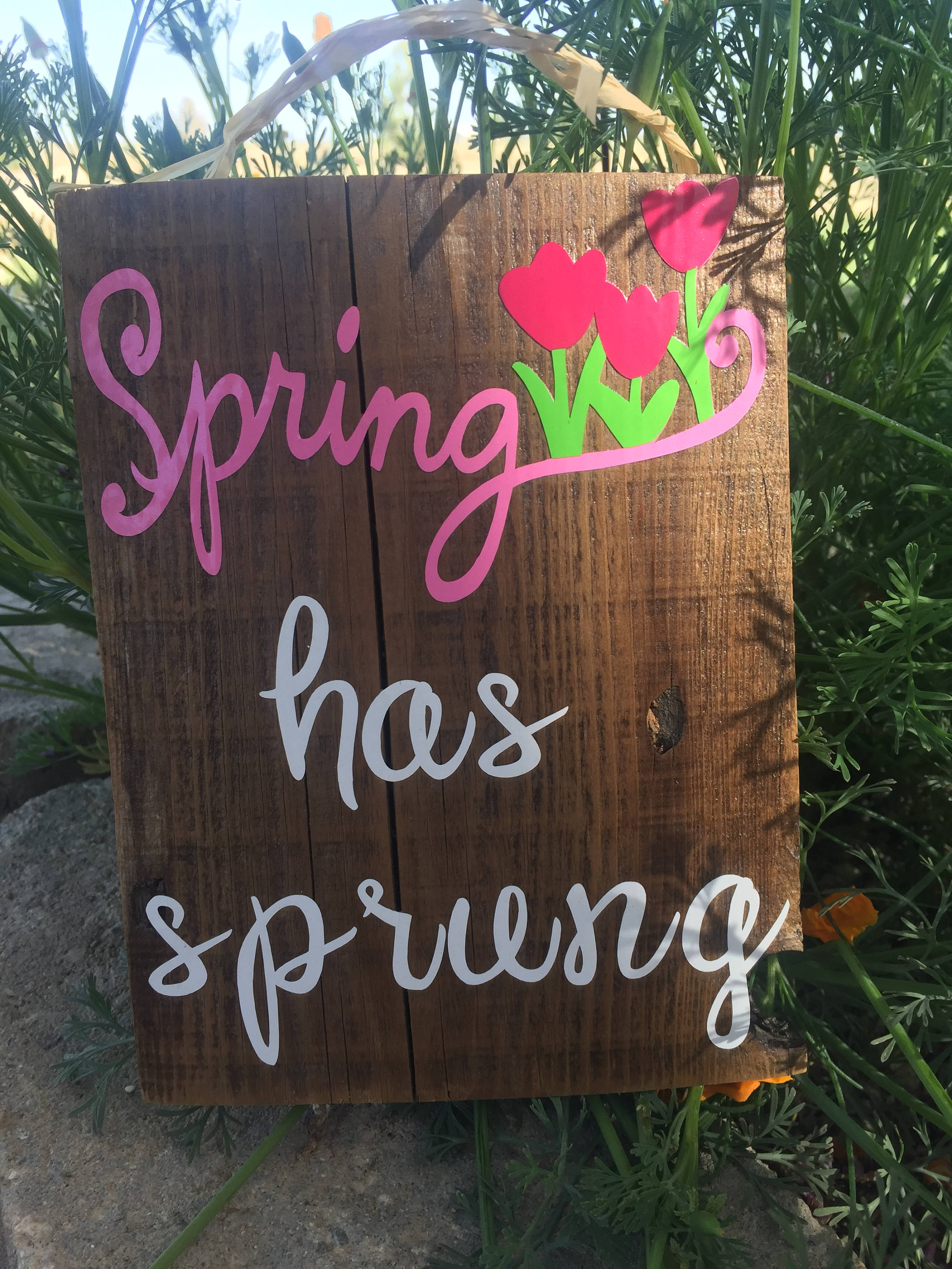 Spring Has Sprung Sign - Etsy