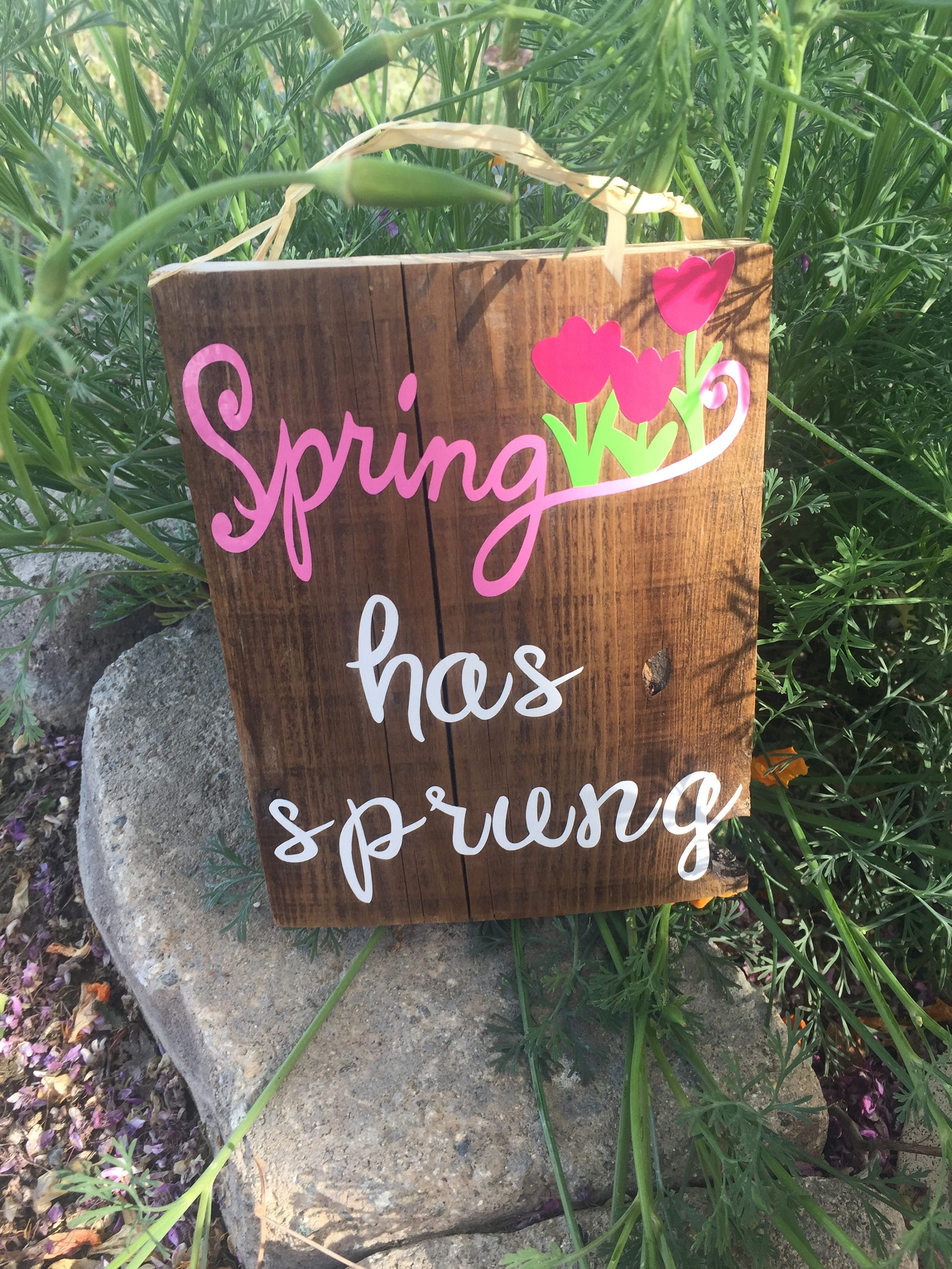Spring Has Sprung Sign - Etsy