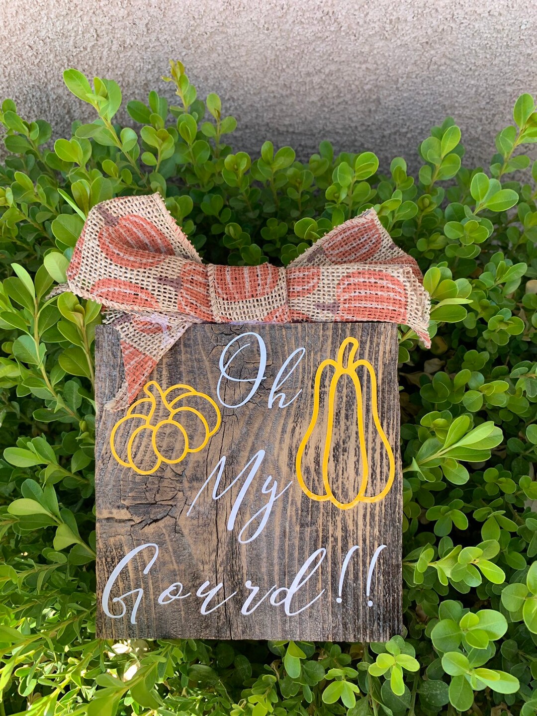 Oh My Gourd- Fall/thanksgiving Sign - Etsy