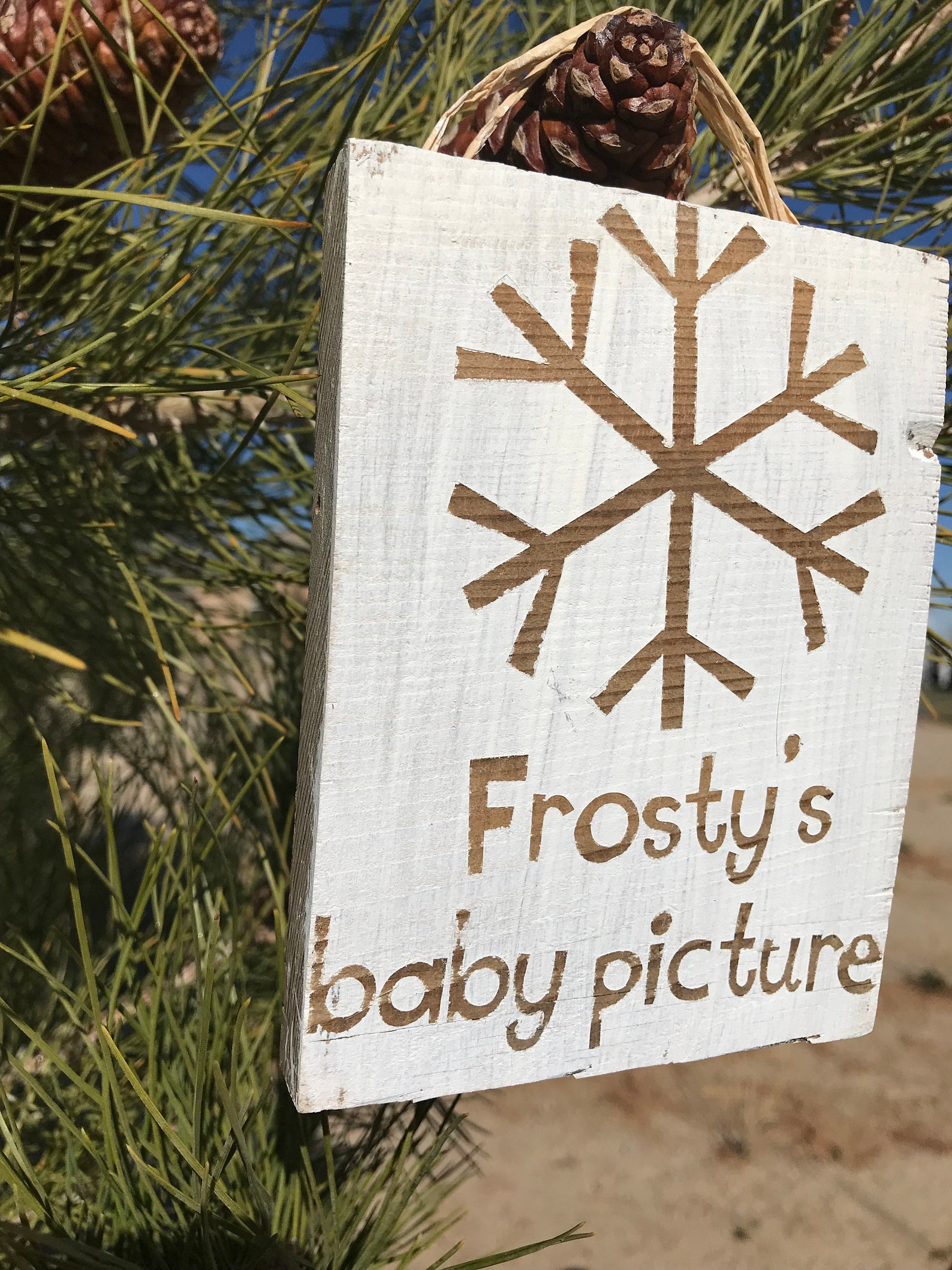 Frosty's Baby Picture Sign - Etsy