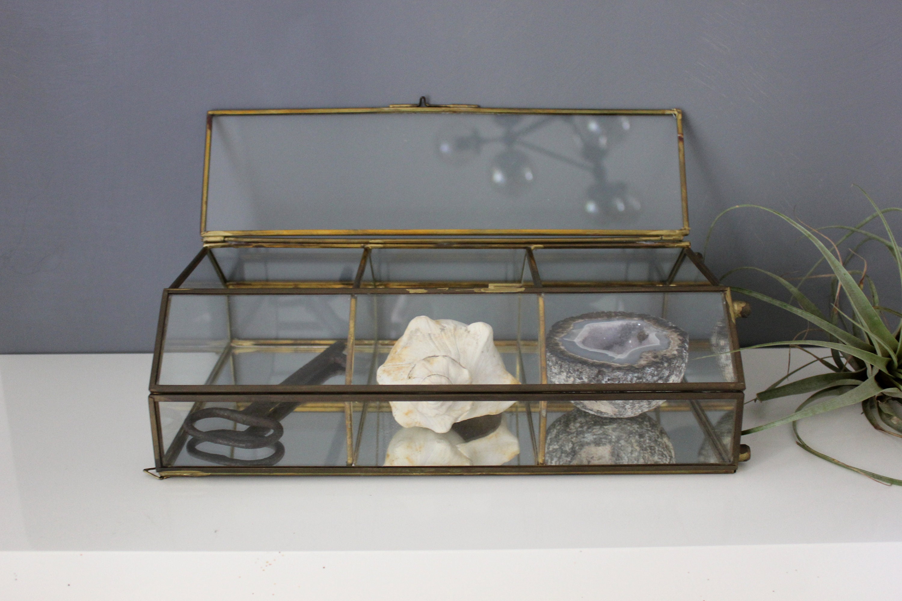 Glass and Brass Vintage Mirrored Display Box Jewelry Air Plant Terrarium