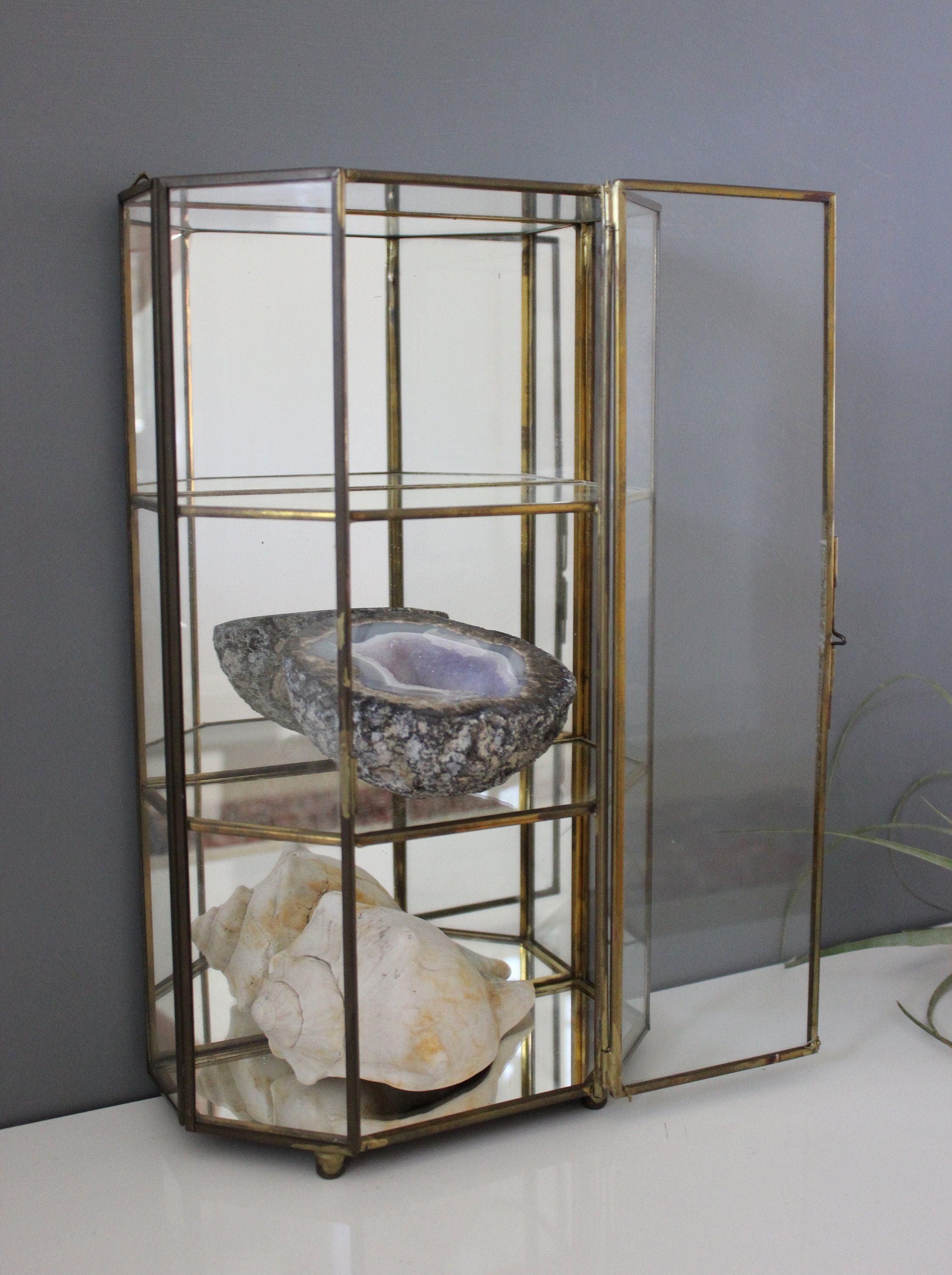 Glass and Brass Vintage Mirrored Display Box Jewelry Air Plant Terrarium