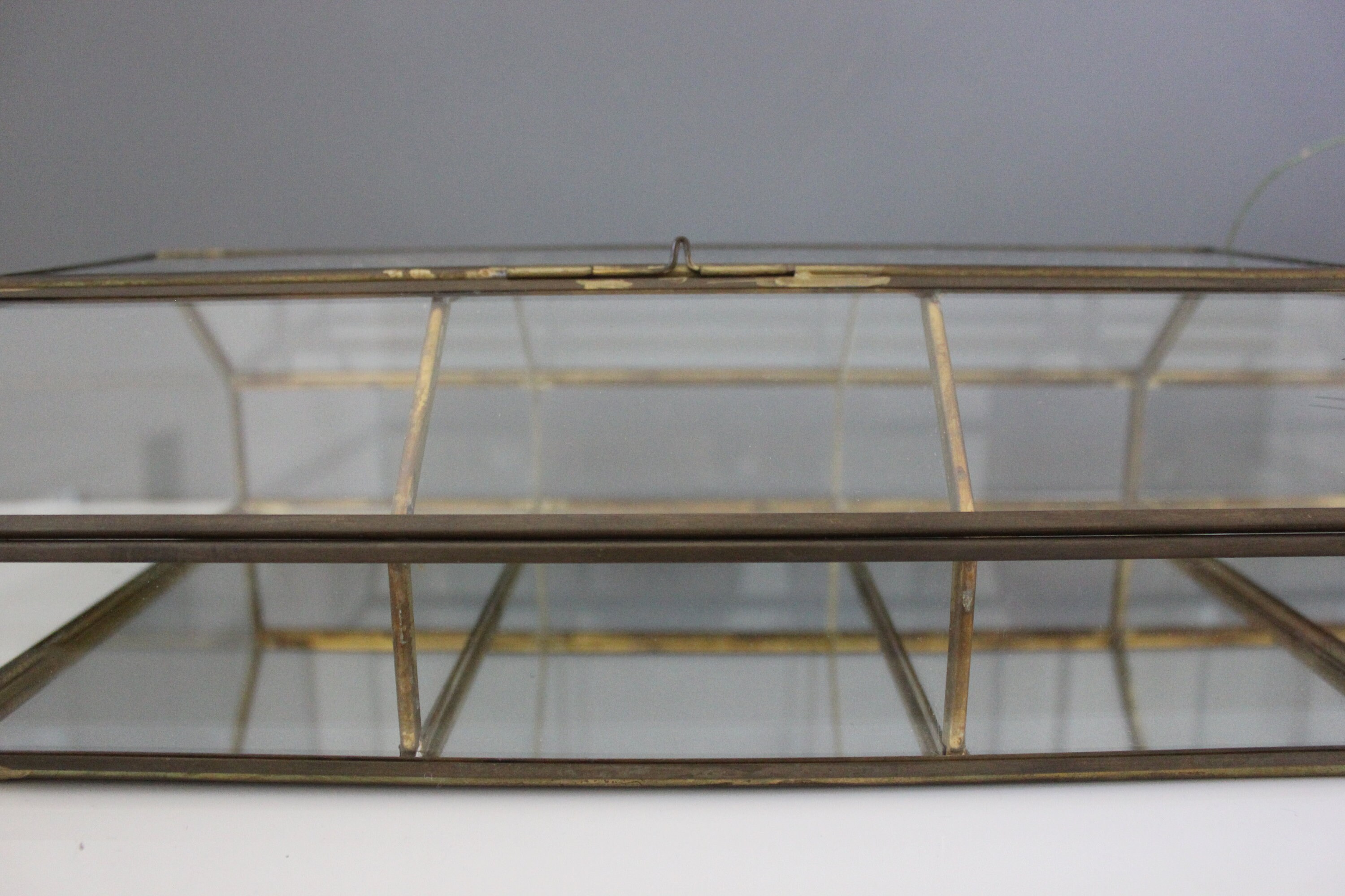Glass and Brass Vintage Mirrored Display Box Jewelry Air Plant Terrarium