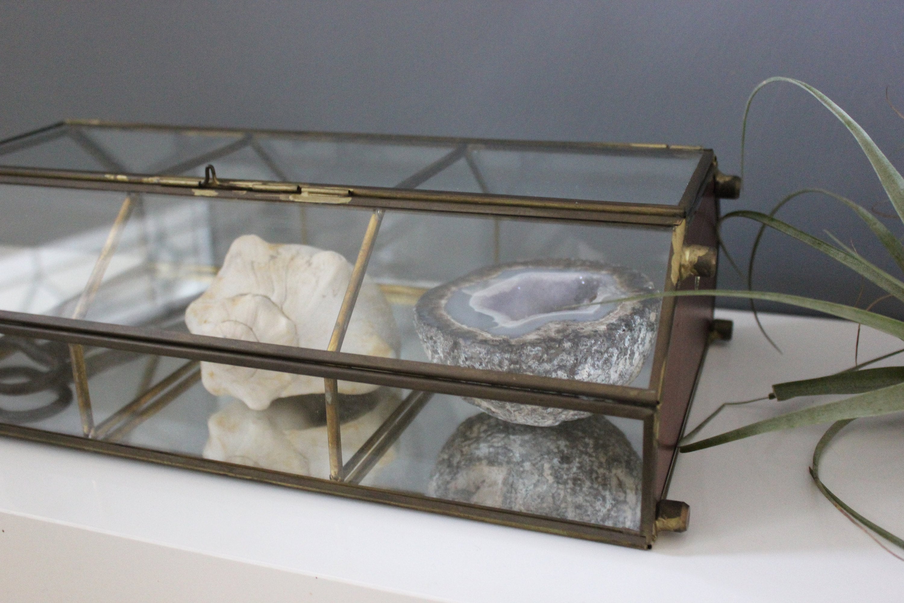 Glass and Brass Vintage Mirrored Display Box Jewelry Air Plant Terrarium
