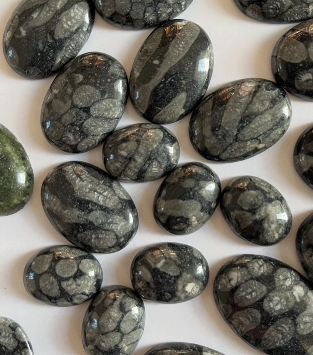 Irish Fossil Limestone Cabochons: Kilkenny Marble, Jewelry Making - Etsy