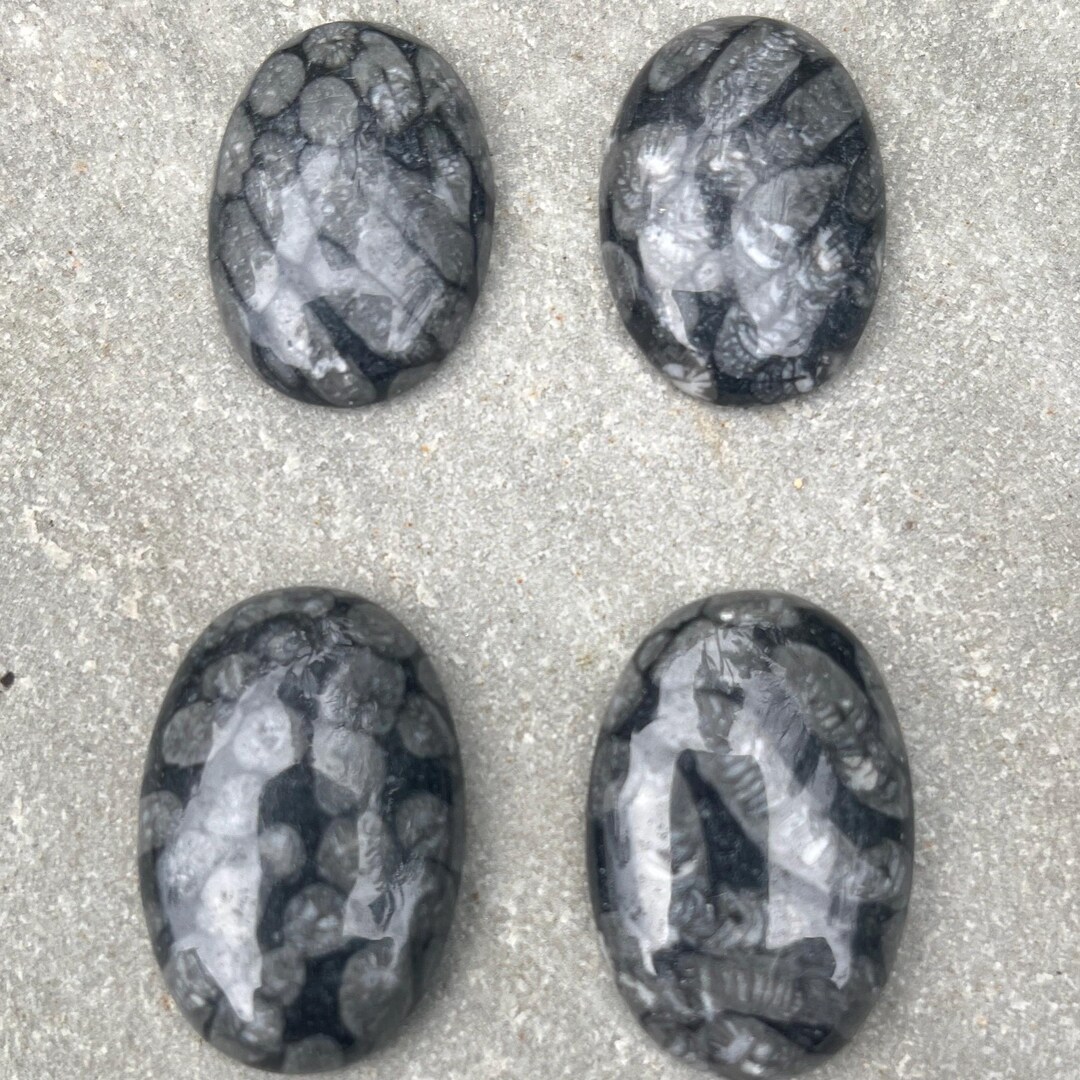 2 Irish Fossil Limestone Kilkenny Marble Kilkenny Limestone Cabochons ...