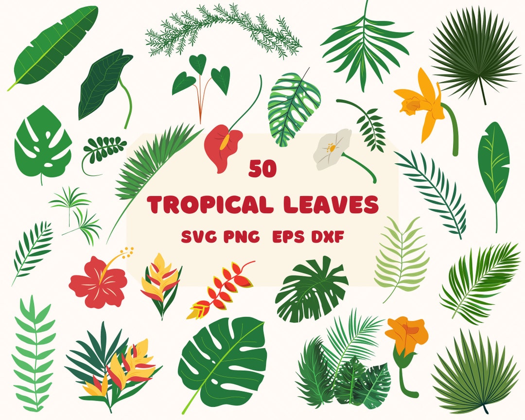 50 Tropical Leaves SVG Bundle, Tropical Leaves Svg, Tropical Leaf Svg ...