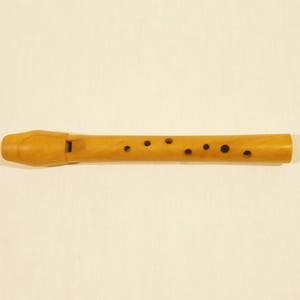 Garklein, Sopranissimo Recorder Renaissance Fingering - Etsy