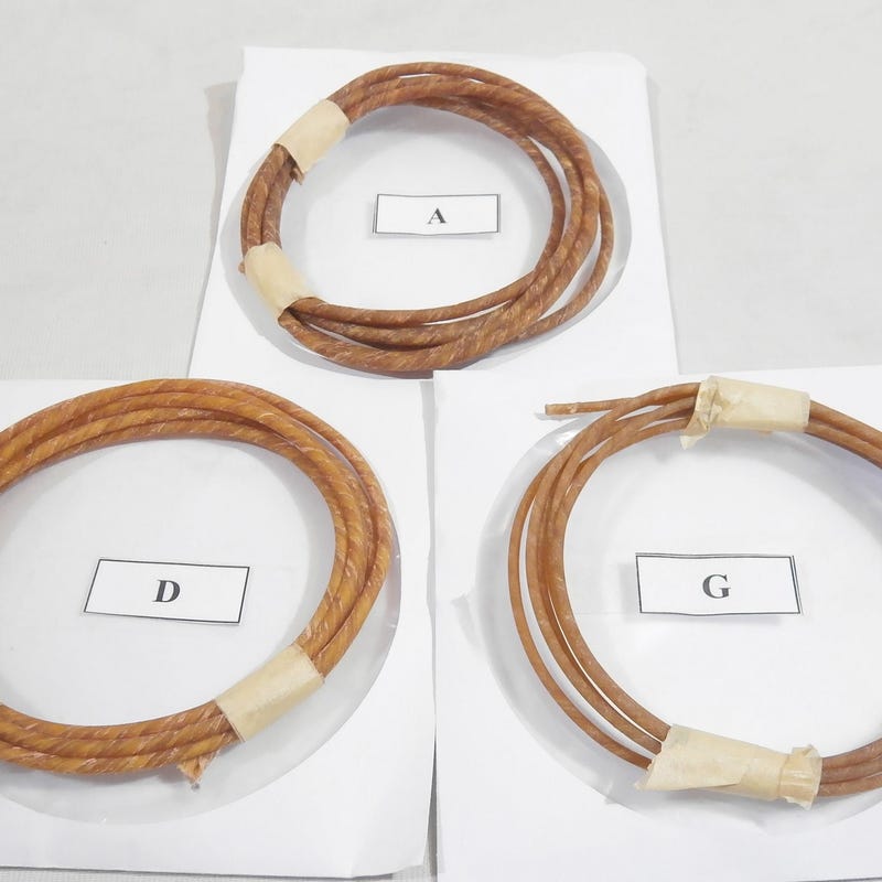 Strings on a Double Bass - Etsy