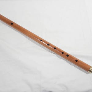 Renaissance Flute, 6 Hole Transverse Flute in "g" - Plum, Professional ...