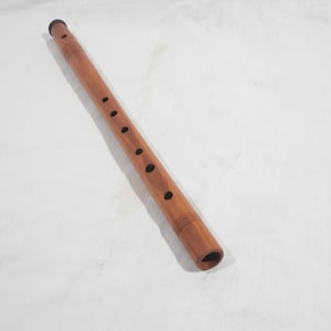 Renaissance Flute, 6 Hole Transverse Flute in "a" - Plum, Professional ...