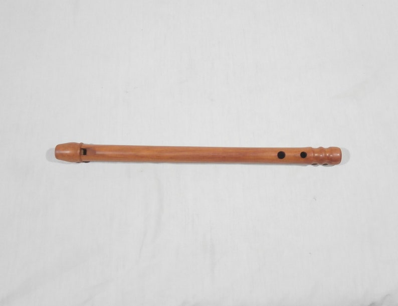 Tabor Pipe Tammarinpfeife One Handed Recorder D - Etsy