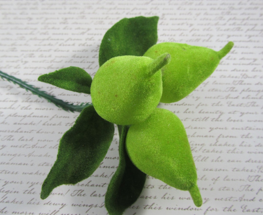 Vintage Flocked Fruit Green Fuzzy Pears Millinery Craft Supplies - Etsy
