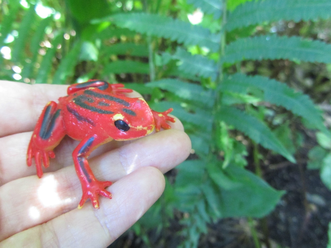 Plastic Frogs pick 1 Red Green or Yellow Tree - Etsy