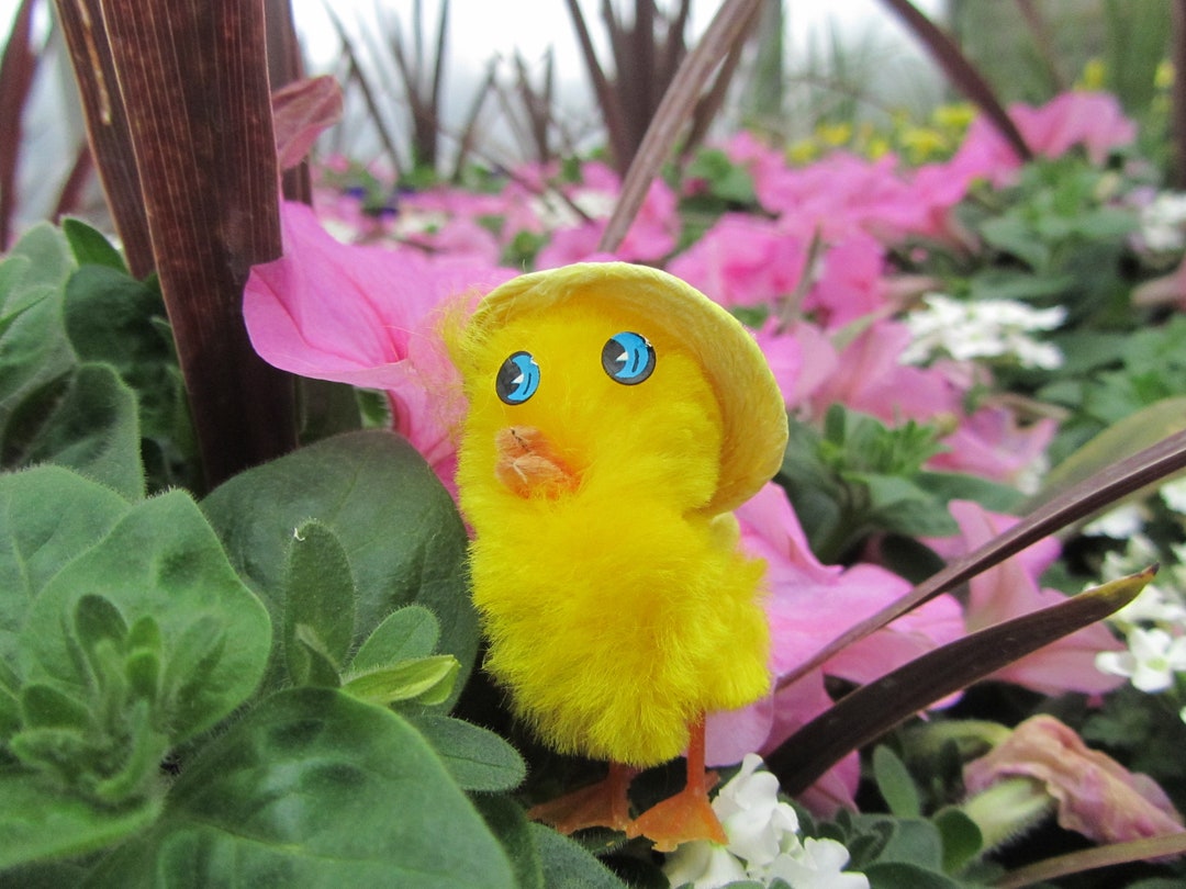 Fuzzy Chick in Yellow Straw Hat Whimsical Easter Decoration - Etsy