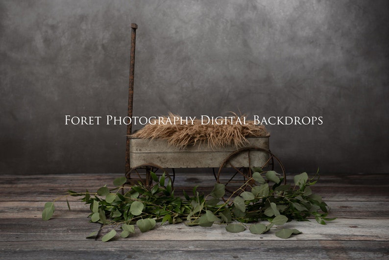 3 Versions of Digital Backdrop/ Background Wagon and Teddy Bear for ...