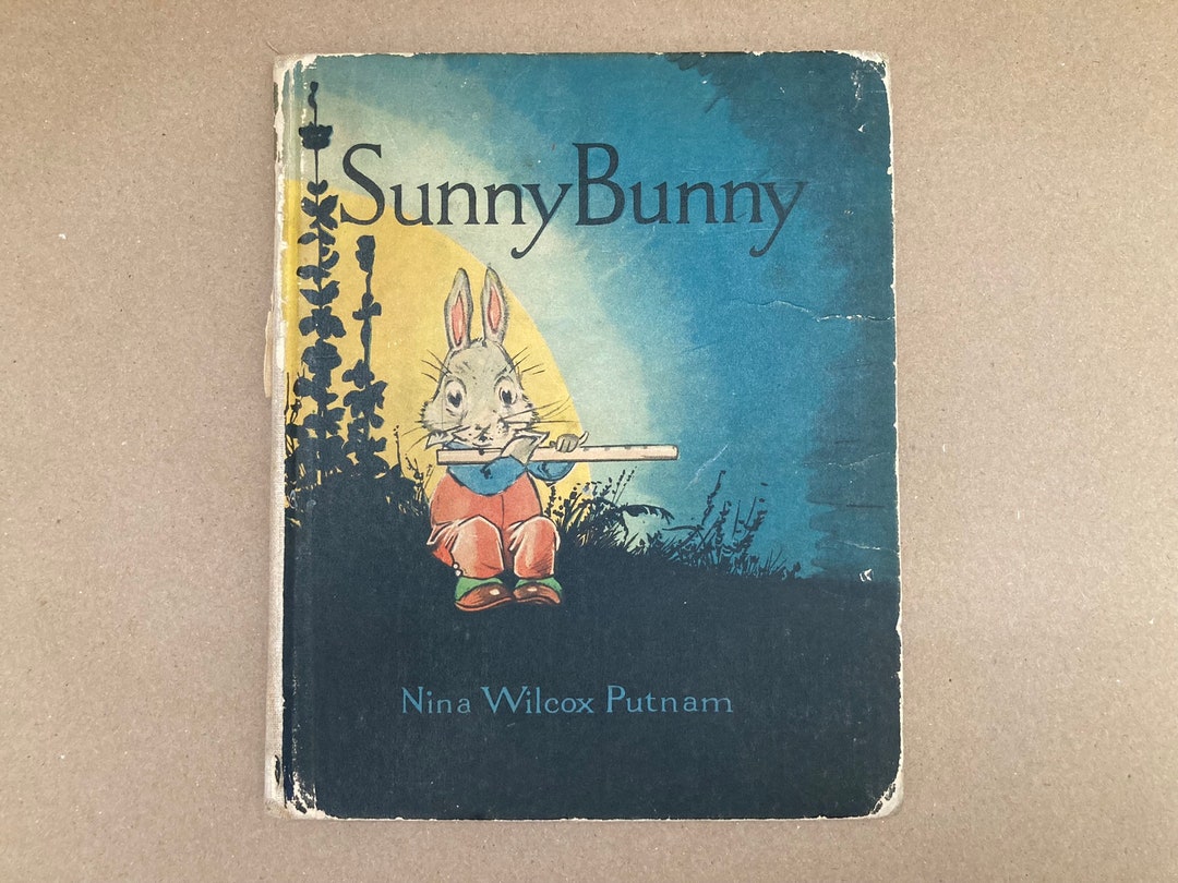1910s Sunny Bunny by Nina Wilcox Putnam for Volland Sunny Books Series ...