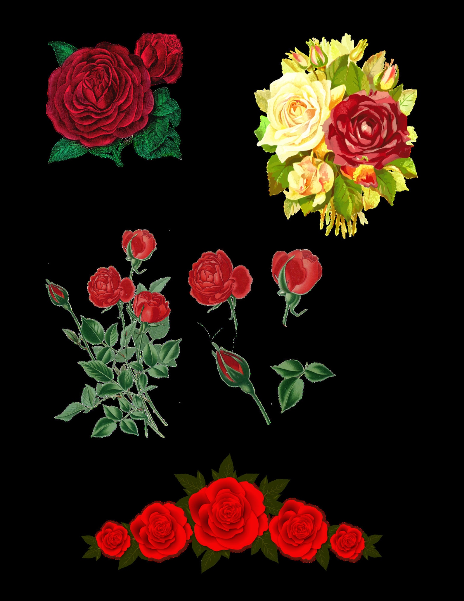 CUT OUT Roses Printable Digital Images / Printable Roses / Scrapbook ...