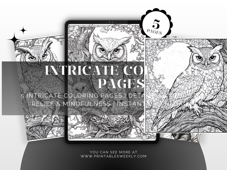Intricate Owl Coloring Pages for Adults | Detailed Animal Designs ...