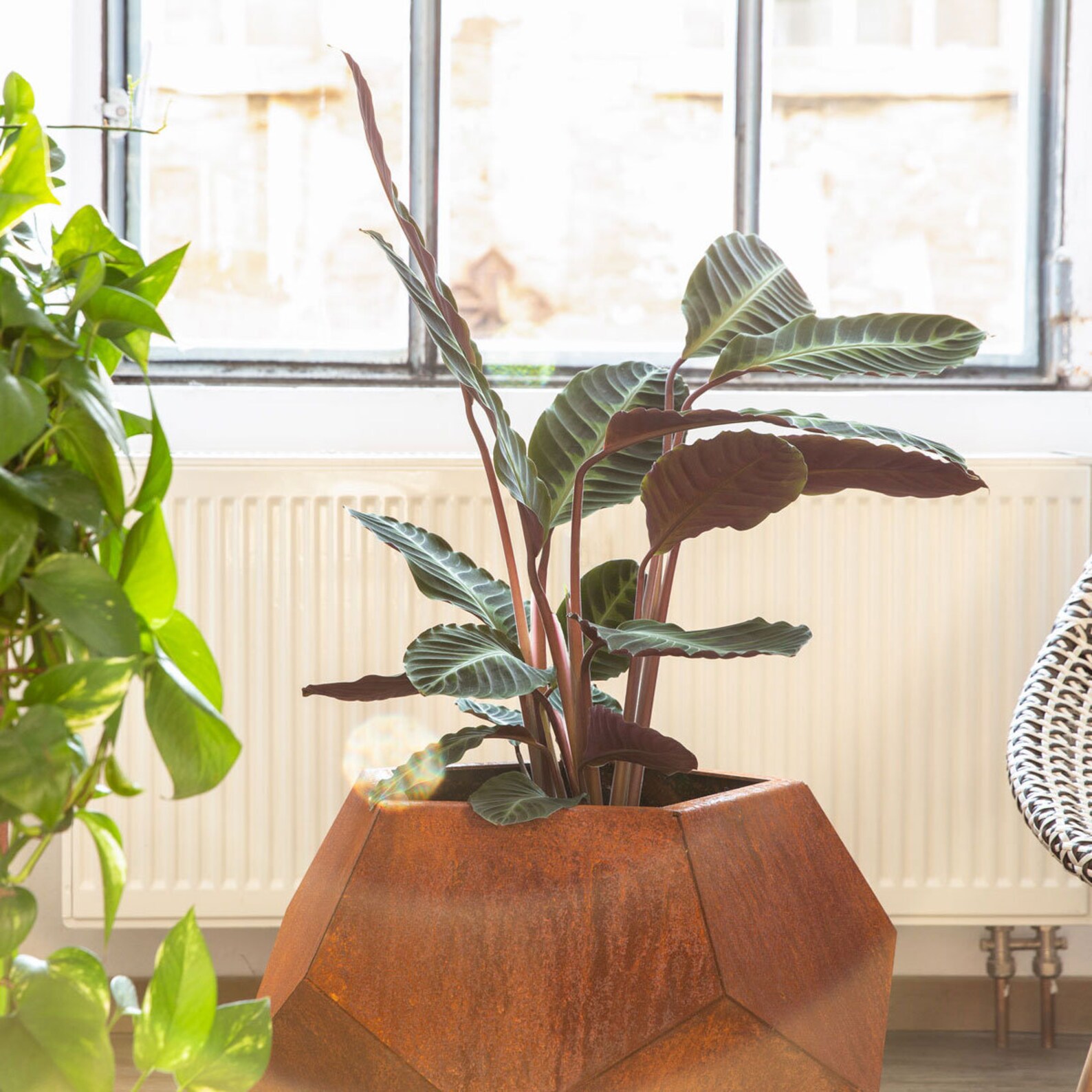 Dodo Metall Planter In & Outdoor / Medium Gardening Gift - Etsy