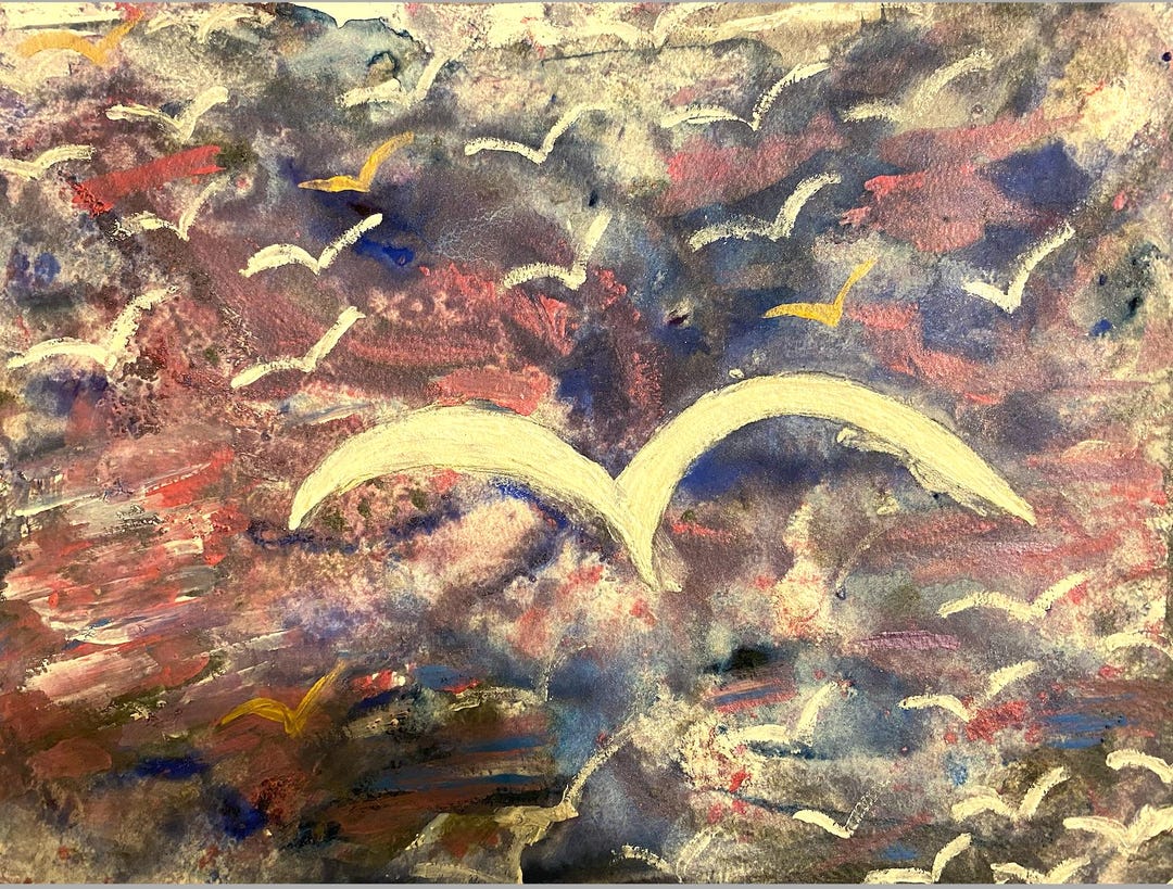 Seagull Greeting Card With Envelope - Etsy