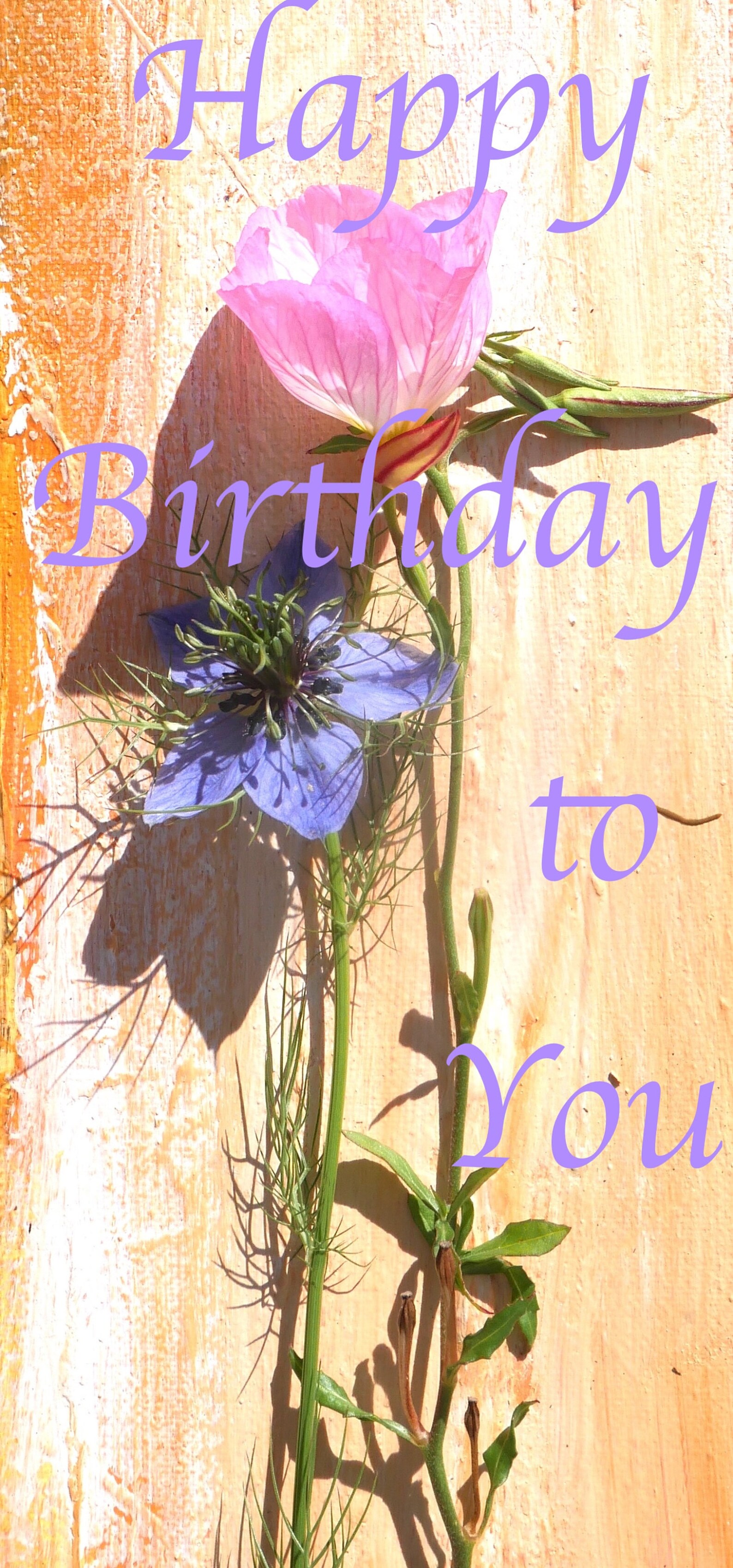 Happy Birthday Spring Flowers Greeting Cards With Envelopes - Etsy