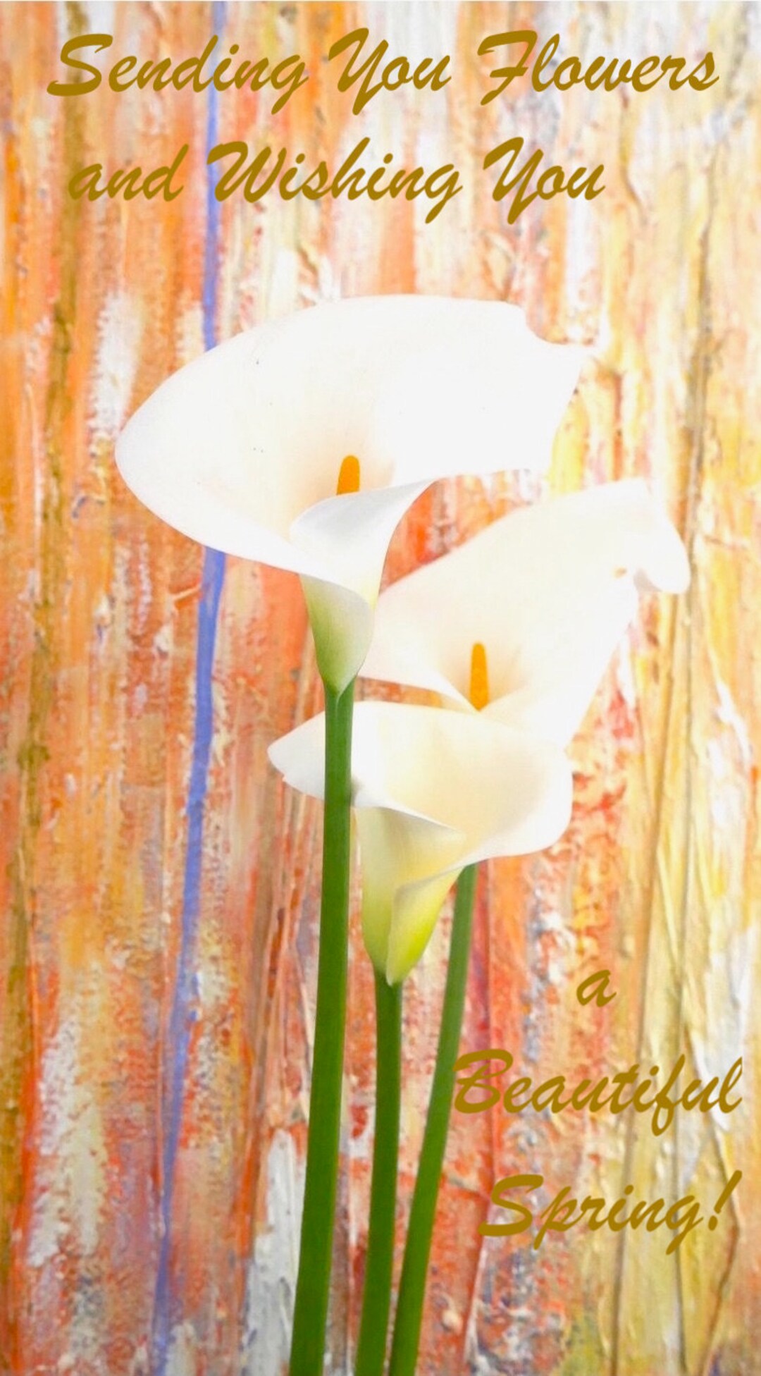 Sending You Spring Flowers Greeting Card - Etsy