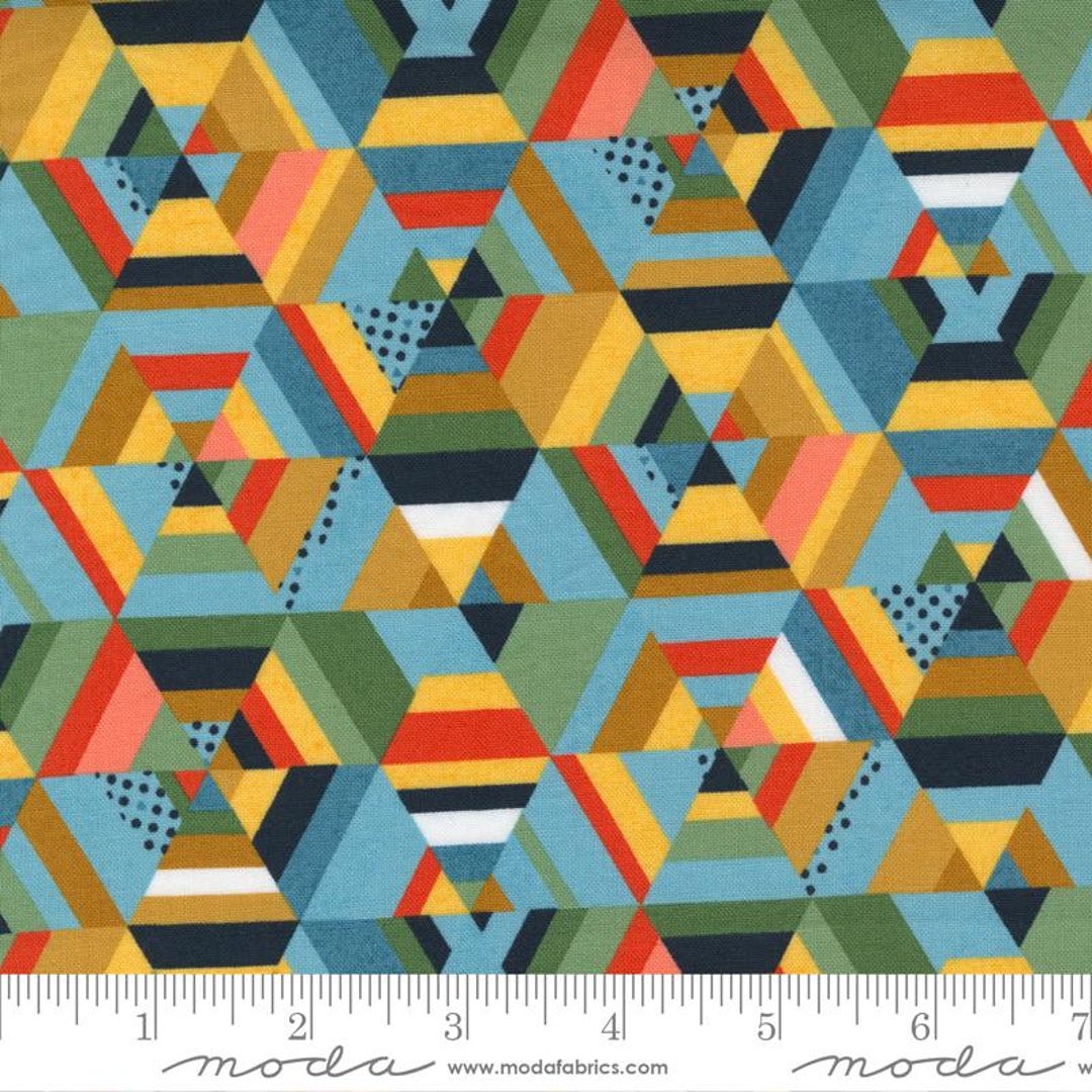 Moda Fabric — 1 Yard X 44" Moda Frankie by Basic Grey Pattern # 30671 ...